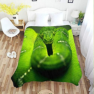 Moslion Soft Cozy Throw Blanket Green Snake Wild Animal Fuzzy Couch/Bed Blanket for Adult/Youth Polyester 30 X 40 Inches(Home/Travel/Camping Applicable)