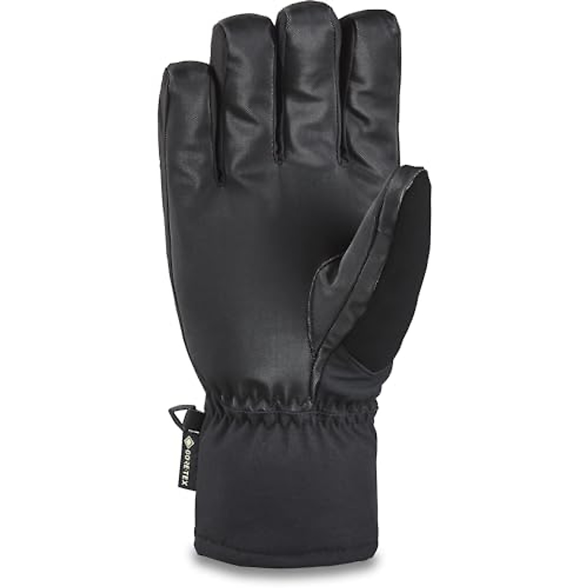 Dakine Men's Titan Gore-Tex Ski and Snowboard Short Gloves, Black, X-Large