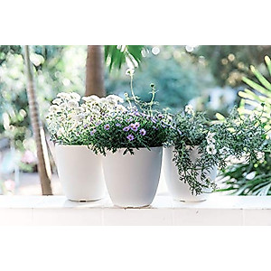GARDENIX DECOR 7'' Self Watering planters for Indoor Plants - Flower Pot with Water Level Indicator for Plants, Grow Tracking Tool - Self Watering Planter Plant Pot - Coco Coir - White 3 Pack