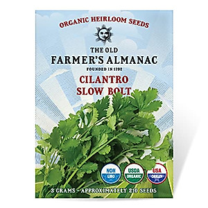 The Old Farmer's Almanac Heirloom Organic Cilantro Seeds (Slow Bolt) - Approx 180 Seeds - Certified Organic, Non-GMO, Open Pollinated, Heirloom, USA Origin