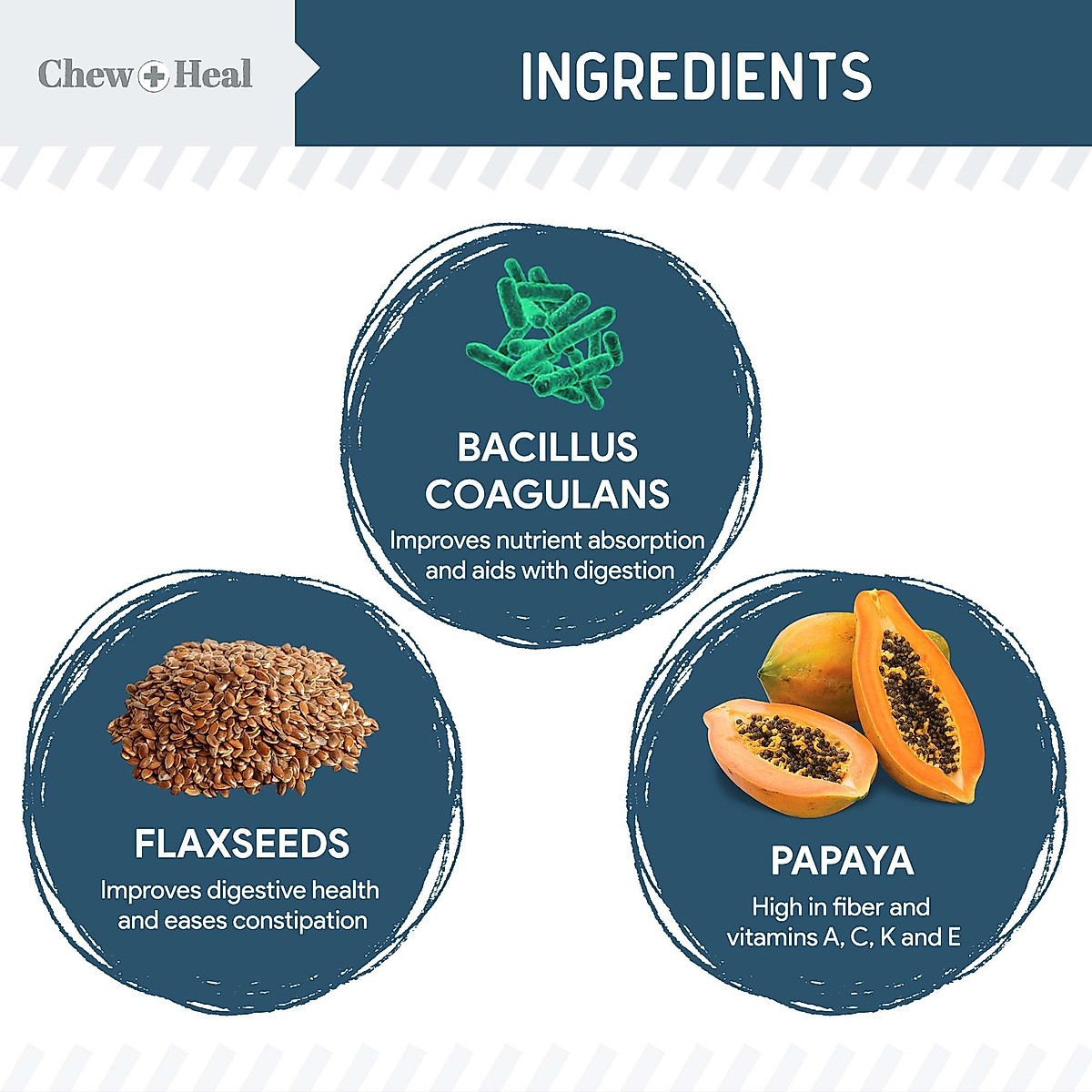 Digestive Enzymes with Probiotics for Dogs - 120 Soft Chews - Supports Healthy Digestive Tract, Helps Nutrient Absorption, Food Digestion, and Health Maintenance