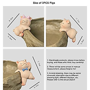 QIANSHENG Set of 3 Garden Pig Statues Terrarium Flower Pot Hanger and Vase Hugger Miniature Pig Figurines Fairy Garden Ornaments Cute Animal Planter Hanging Pendant Decorations