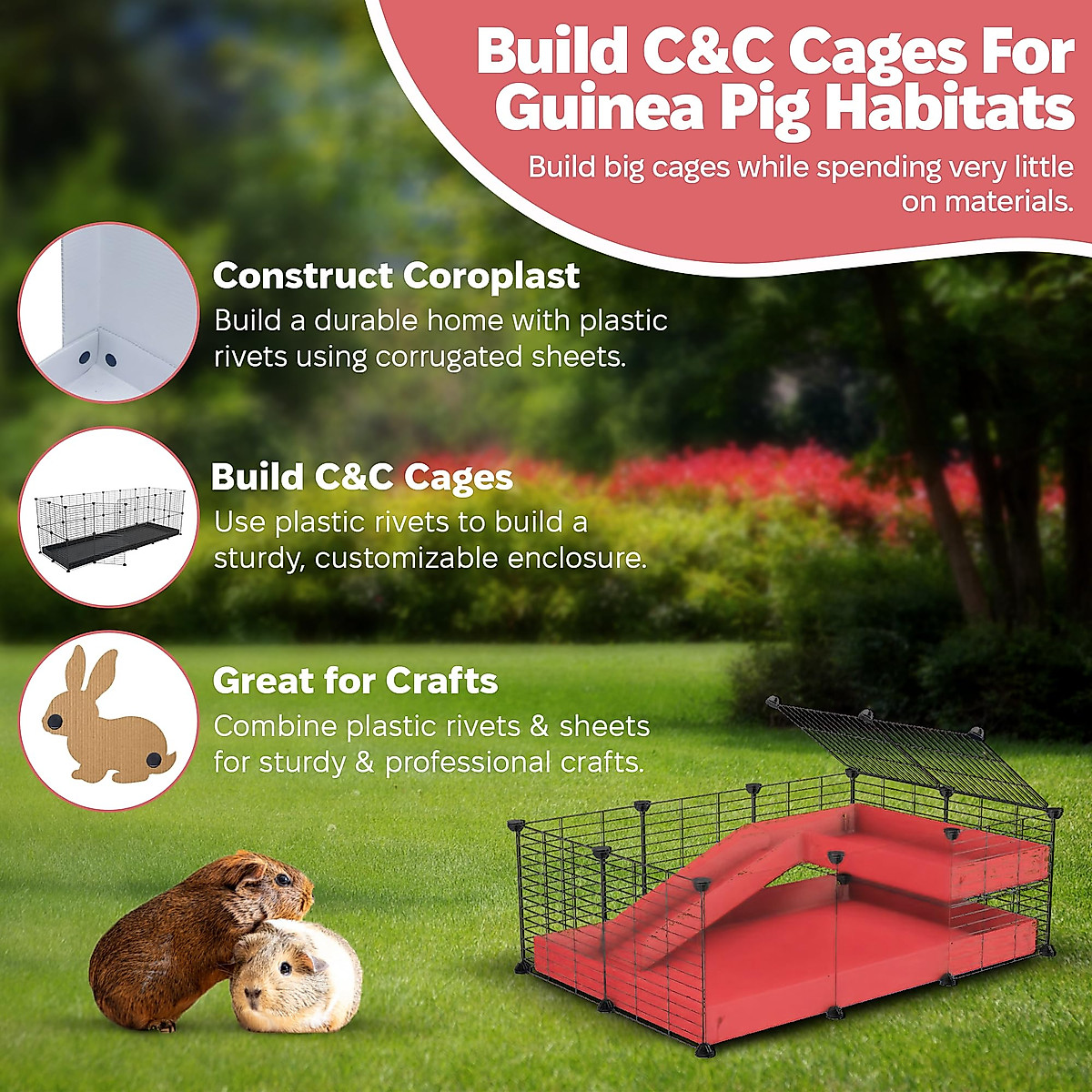 Plastic Ratchet Rivets - .73 in x .41 in (18.7 mm x 10.5 mm) - Construct Coroplast Guinea Pig or Hedgehog Habitats use for C&C Cages (Pack of 200) by Snout and Shell