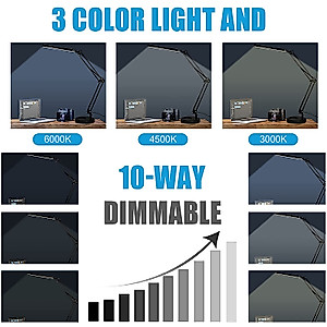 TROPICALTREE LED Desk Lamp with Clamp and Round Base,Eye Caring Table Lamp with Swing Arm,3 Color Modes 10 Brightness Levels,Memory Function, Desk Light for Home Office with USB Adapter Black-14W
