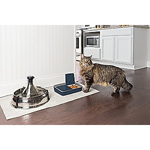 PetSafe Digital Two Meal Automatic Pet Feeder for Cats and Dogs, 2 x 200 g Trays, 4 Day Programming,Blue