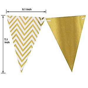 Aonor Sparkly Paper Pennant Banner Triangle Flags Bunting 8.2 Feet and Tissue Paper Tassels Garland 15 pcs for Baby Shower, Birthday Party Decorations, Metallic Gold