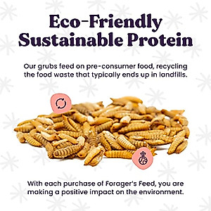 Foragers Feed Whole Dried Black Soldier Fly Larvae, Sustainable Chicken and Livestock Feed for Animal Health, 1 Lb Resealable Bag