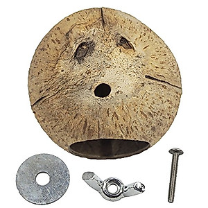 OMEM Bird Coconut House,Hamster House,Coconut Shells can Fixed in Bamboo, Birdcages, Hamster Cages (L)