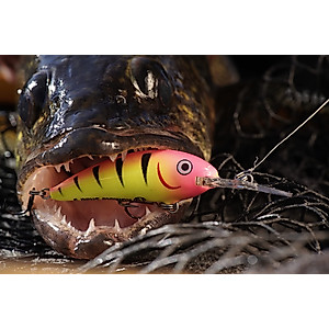 Northland Tackle Rumble Shad Fishing Lure - Freshwater Bait for Bass, Trout, Walleye, Crappie, and Many Other Fish - Stainless Steel Hook - Perfect Gear for Any Kit (Lemon Tiger, 3.25", 5/8 Oz)