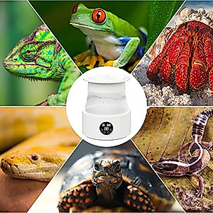 HILMITILE Reptile Fogger, 10 Mist Gears Reptile Humidifier, Automatic Timing Reptile Mister, Slient Reptile Misting System, Top Filling Terrarium Fogger with 4 Nozzles for Reptiles/Amphibians/Vivarium