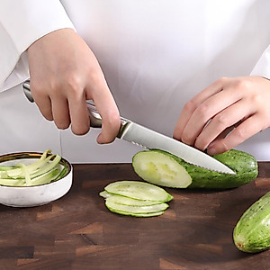 Cangshan Sanford Series 1027174 German Steel 3-Piece Knife Starter Set with Sheaths