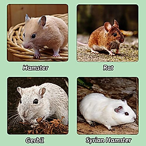 BNOSDM Wooden Hamster Exercise Wheel Silent Hamster Running Wheels with Stand Adjustable Quiet Small Animal Wheel Spinner Toy for Syrian Hamster Gerbil Mice Rat Hedgehogs (9 inch)