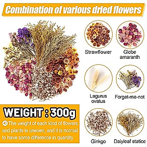 MEWTOGO 10.5Oz Hamster Bedding Decor - Natural Edible Dried Flowers Herb for Habitat Decor of Gerbils Hamsters Degus Mice Reptiles Bunny and Other Small Animals