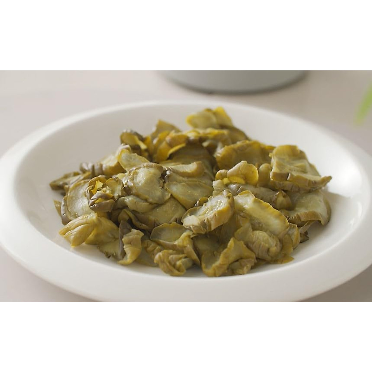 Multi Functional Dehydrator of Tofu/Vegetables & Greek Yogurt Maker