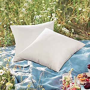 MIULEE Pack of 2 12x20 Outdoor Pillow Inserts, Outdoor Throw Pillows Water-Resistant Decorative Premium Lumbar Pillow Stuffer Sham for Porch Swing Couch Sofa Cushion Patio Furniture