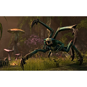 The Elder Scrolls Online