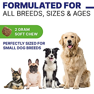 Dog Digestive Support Probiotic Chews - Enzymes, Probiotics, Prebiotics, and Pumpkin for Dogs - Improve Stool Quality and Consistency - Relief from Gas, Constipation, Diarrhea 90ct