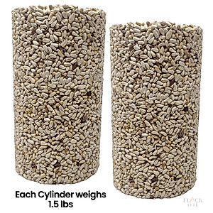 Flock Fuel Safflower Wild Bird Seed Cylinder 2 Pack Bird Seed for Outside Birds