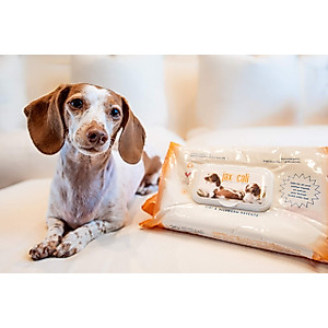 JAX & CALI Pet Wipes, Natural Textured Paw and Body Wipes, Hypoallergenic, pH Balanced, Vitamins B3 & E, Soothing Aloe, No Fragrance, Holistic, Cruelty Free, Dogs & Cats, Extra Large 8"x10", 20 Wipes