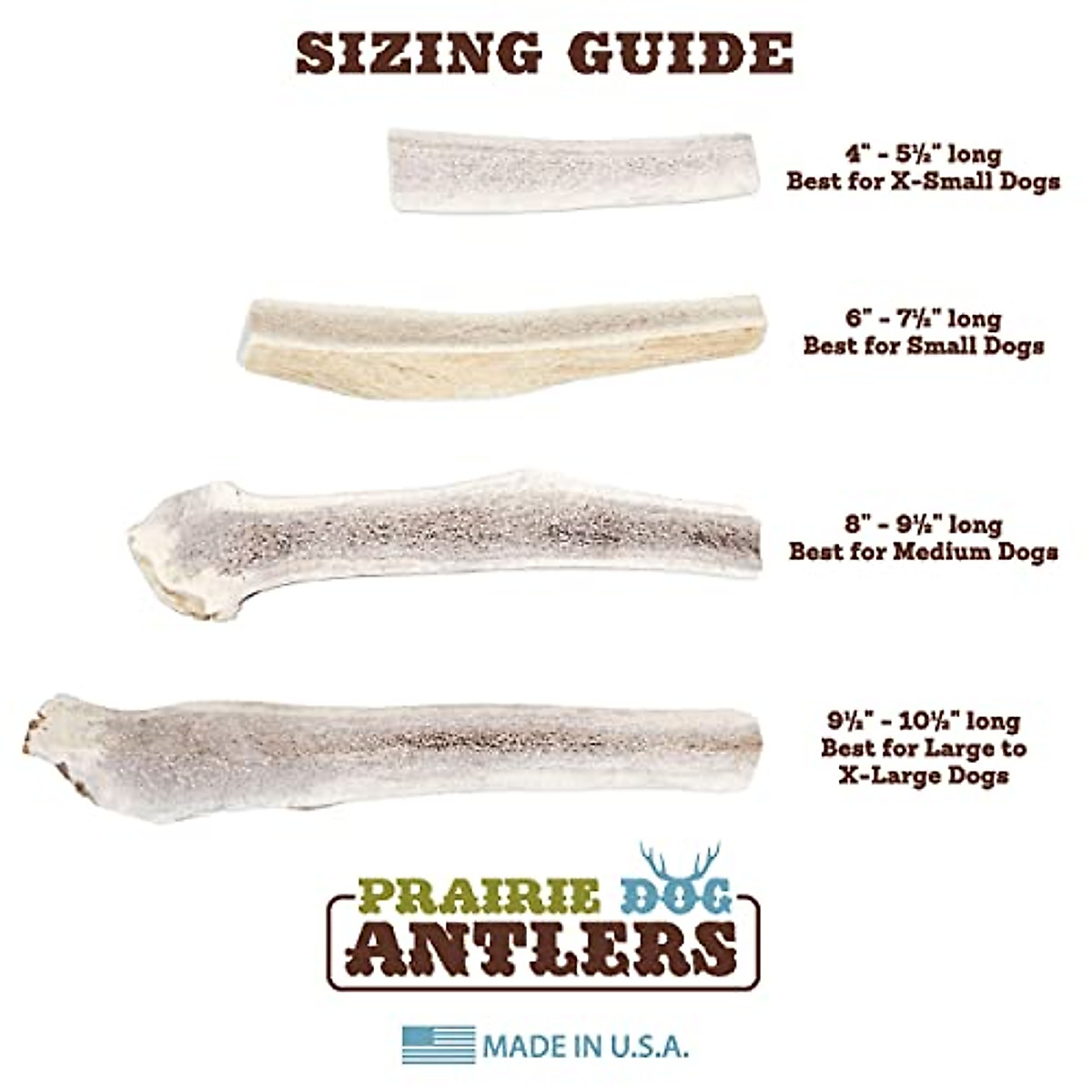 Prairie Dog Antlers | North American Split Antler | Large | Naturally Shed | Hand Harvested | Nutrient Rich | 6-7.5 inches long