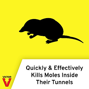 Victor 0631 Out O'Sight Reusable Humane Mole Eliminator Trap and Killer