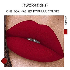 DEERWIN 6 Colors Matte Liquid Lipstick Makeup Set Waterproof Long-Lasting Wear Non-Stick Cup Not Fade Lip Gloss Gift Sets (Set A)