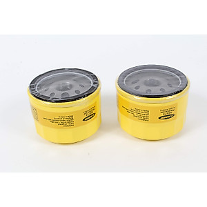 2 Pack Oil Filter Fits B&S 696854 795890 842921 695396 492932