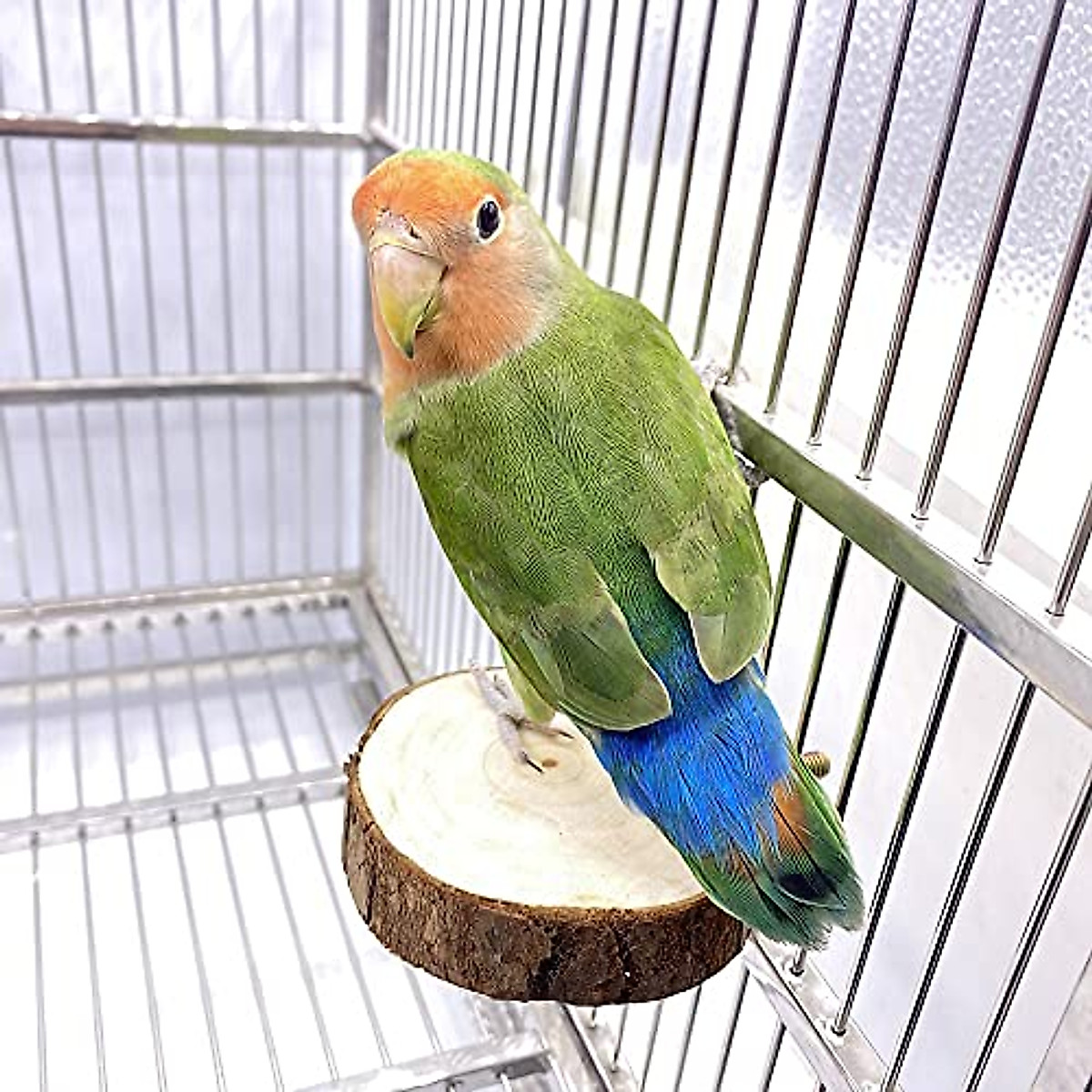 TOLMIOW 9 Pieces Parrots Chewing Natural Wood and Rope Bungee Bird Toy for Anchovies, Coconut Hideaway with Ladder ,Bird Perch Stand, Bird Cage Accessories, Parakeets, Cockatiel, Conure, Mynah, Macow