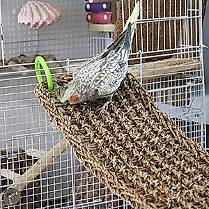 39 x 7 Inches Bird Seagrass Mat, Natural Seagrass Woven Net, Bird Hammock Mat with Hooks, Bird Cage Accessories, Climbing Rope Ladder Chew Toys for Cockatiel Hamster Guinea Pig Rats Hamster Parakeet