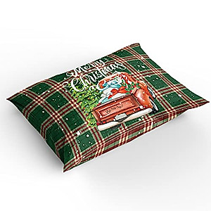 APABUCHER Queen Comforter Cover Set - Soft and Breathable Bedding Sets, Buffalo Plaid Merry Christmas Red Truck with Xmas Tree 3 Pieces Light Weight Bed Sets with 1 Duvet Cover and 2 Pillowcases