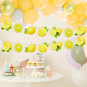 4 Pcs Lemon Banner Citrus Lemonade Party Sign Lemon Party Decorations Yellow Lime Birthday Decorations for Boy Girl Baby Kids DIY First Bday Bridal Kitchen Shower Theme Decor