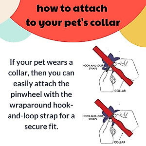 H&K Pet Pinwheel | Happy Barkday (Large) | Birthday Velcro Collar Accessory for Dogs/Cats | Fun Pet Pinwheel Collar Attachment | Cute, Comfortable Pet Accessory