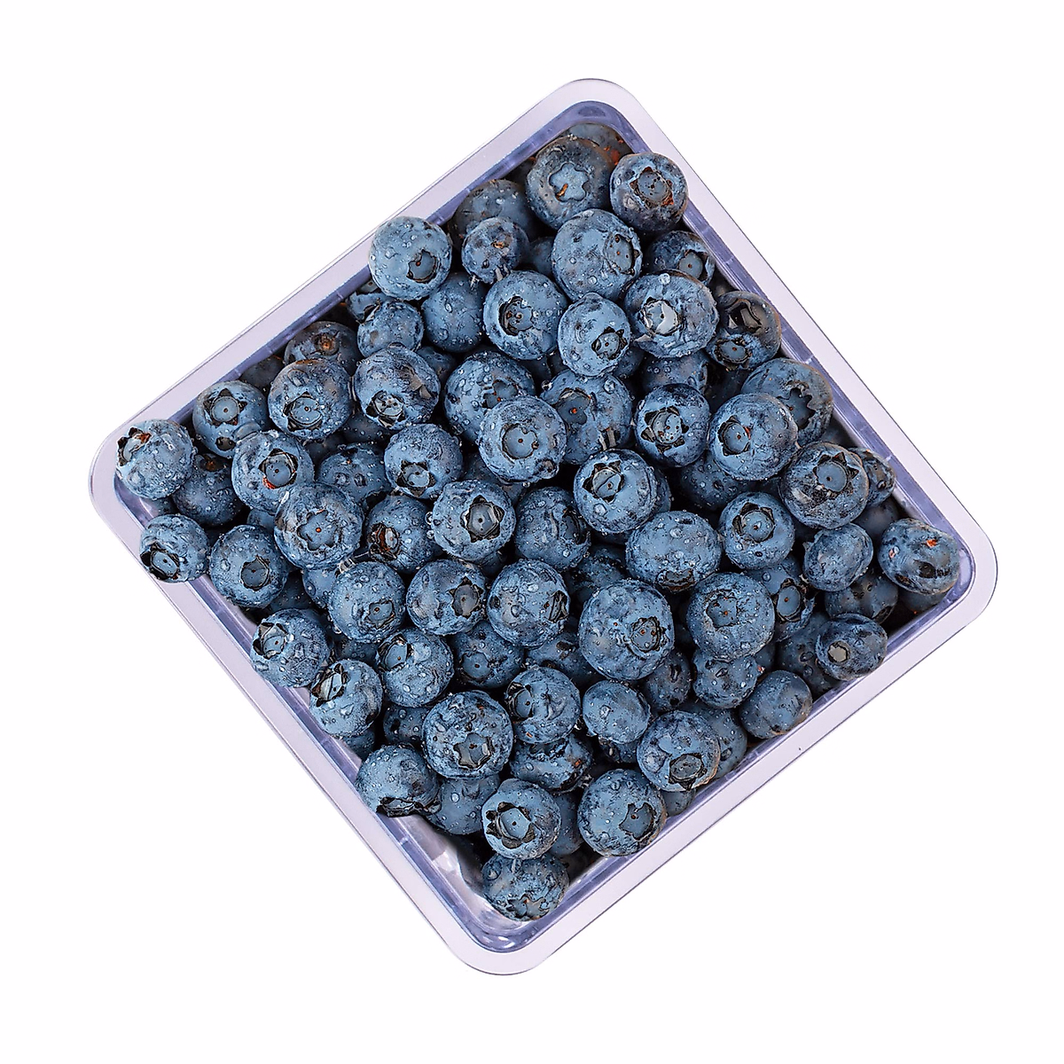 HIC Kitchen BerryFresh Half Pint Produce Box, Blue