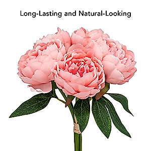 Softflame Artificial/Fake/Faux Flowers - Peony Bundle Pink Color, Pack of 5, Totally 25 Heads, for Wedding, Home, Party, Restaurant