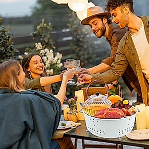 11.6 Inch Portable Charcoal Grill for Camping, Mini Charcoal Grill Folding Leg Grill with Wire Mesh, Multifunctional Portable Grill Camping for Home Party Travel Barbecue Camping Picnic