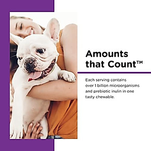 Nutri-Vet Pre and Probiotic Soft Chews for Dogs - Digestive Health Support Dog Probiotics - Tasty Liver and Cheese Alternative to Dog Probiotic Powder - 120 Soft Chews