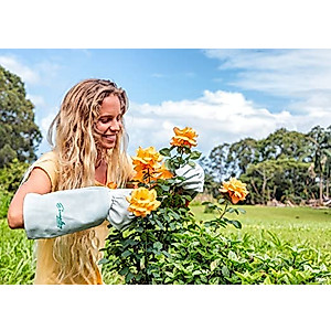 Rose Pruning Gloves for Men and Women - Thorn Proof Goatskin Leather Gardening Gloves with Gauntlet (Medium)