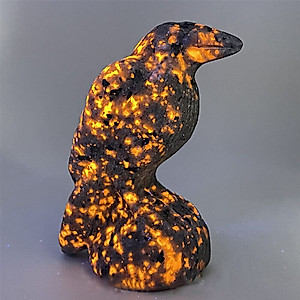 1pc Natural Yooperlite Crow Skull Quartz Crystal Skull Carved Figurines Gem 2.4"