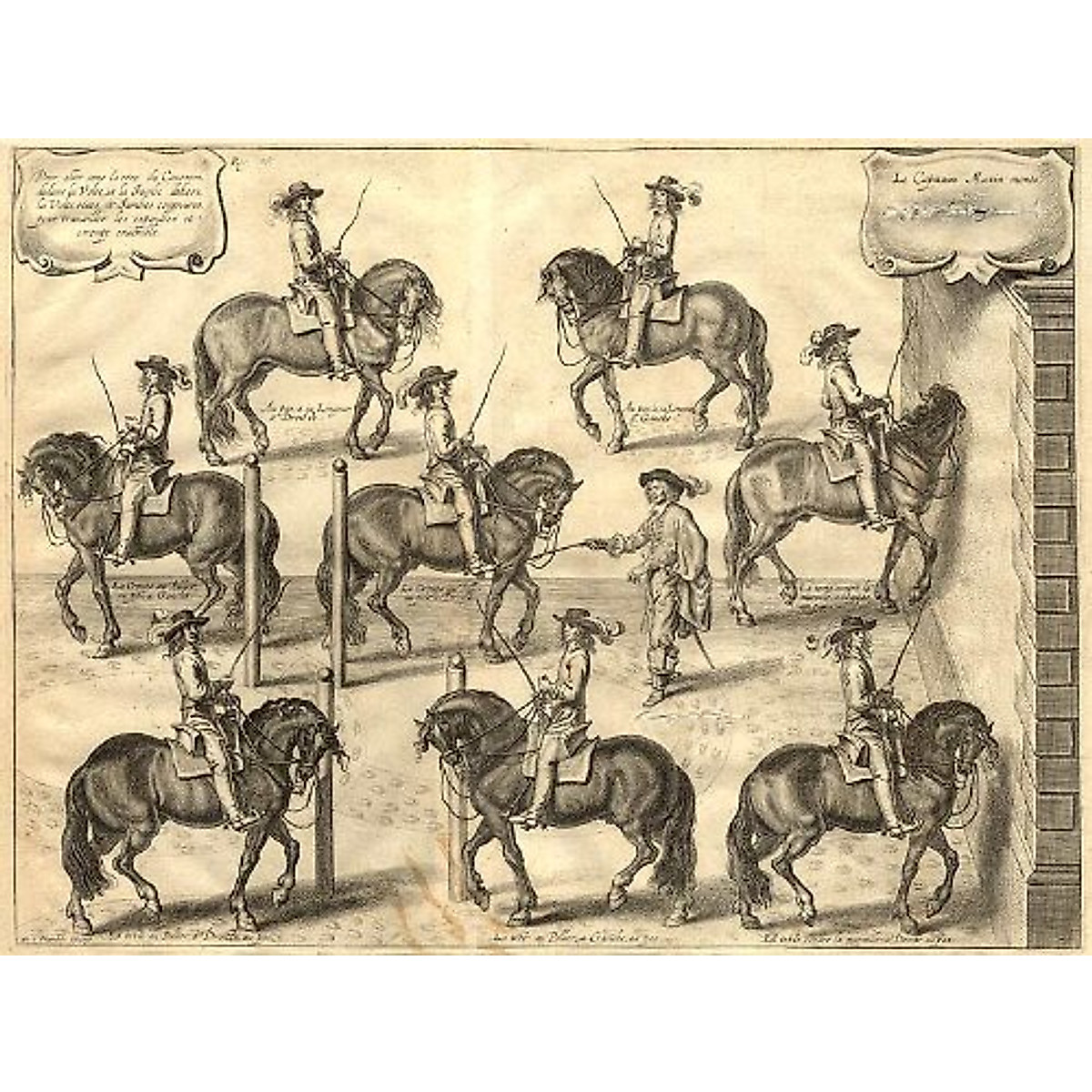 Pour aller avec la rene du Cavesson, dedans la Volte, et la Jambe dehors, la Volte, renes et Jambes contraires, pour travailler les espaulles et croupe ensemble