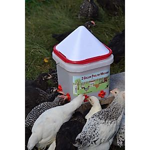 RentACoop 2 Gallon Chicken BPA-Free Plastic Bucket Waterer Set with 4 Horizontal Nipples - Corner Placement