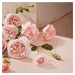 Chloe Chloe LEau Women 3.3 oz EDT Spray