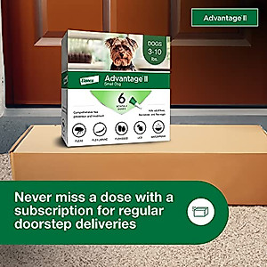 Advantage II Small Dog Vet-Recommended Flea Treatment & Prevention | Dogs 3-10 lbs. | 6-Month Supply