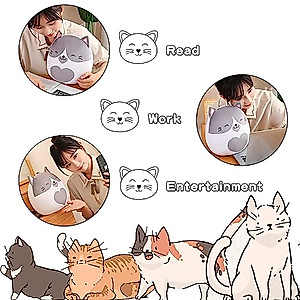 SQEQE Couple Cat Stuffed Animal with Hearts Love Cat Plush Cute Kitty Plush Pillow Soft Animal Stuffy Doll Toys Valentine’s Day Gifts for Girlfriend Boyfriend(Gray, 10 inch)