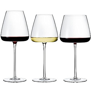 Wine Enthusiast Fleur Pinot Noir Wine Glass – Hand Blown Wide Bowl Glassware with Long Stem for Red Wine Tastings (Set of 2)