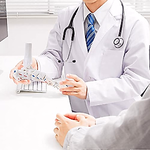 SKUMOD Human Foot and Ankle Skeletal Model with Tibia and Fibula parts, Flexible Foot Bone Structure Model