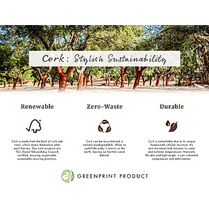 Displays2go Enclosed Cork Board, Sliding Glass Door, 4 x 3 Foot, Locking Bulletin Board for Wall (CBSD43BK)