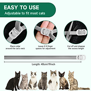 4 Pack Flea Collar for Cats, Cat Flea and Tick Treatment, 8 Months Protection Flea and Tick Prevention for Cats, Waterproof Cat Flea Collar, Adjustable Cat Flea and Tick Collar for Cats Kittens, Grey