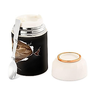 CUPADA Cat Funny Food Jar, Black Paper Hole Insulated Hot Food Jars Vacuum 17OZ with Folding Spoon for Work Trip Picnic Camping