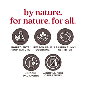 Burt's Bees Lip Balm - Pomegranate, Lip Moisturizer With Responsibly Sourced Beeswax, Tint-Free, Natural Origin Conditioning Treatment, 2 Tubes, 0.15 oz.