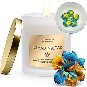 Highly Scented Candle with Island Nectar Aroma | Natural Clean-Burn Eco-Friendly Soy Wax | Handmade in USA in Big Glass Jar and Giftable Box | Burn Up to 80 Hours | Gift for Her